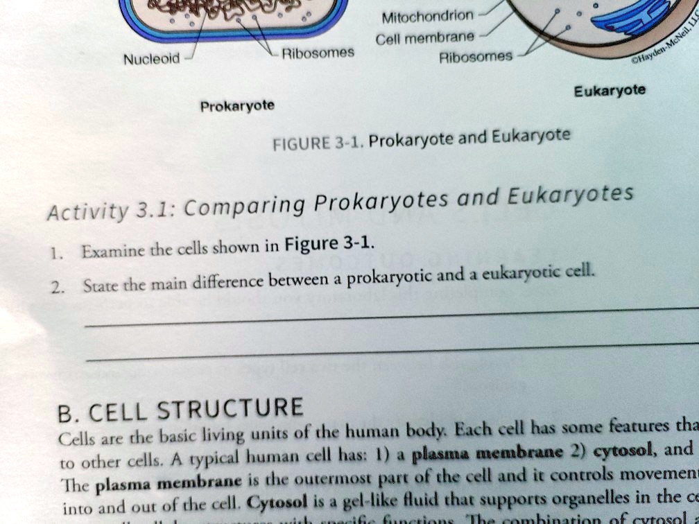 SOLVED: Mitochondrion, Cell membrane, Ribosomes, Ribosomes, Nucleoid, Eukaryote, Prokaryote ...