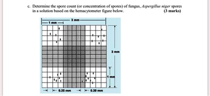 c. Determine the spore count (or concentration of spores) of fungus ...