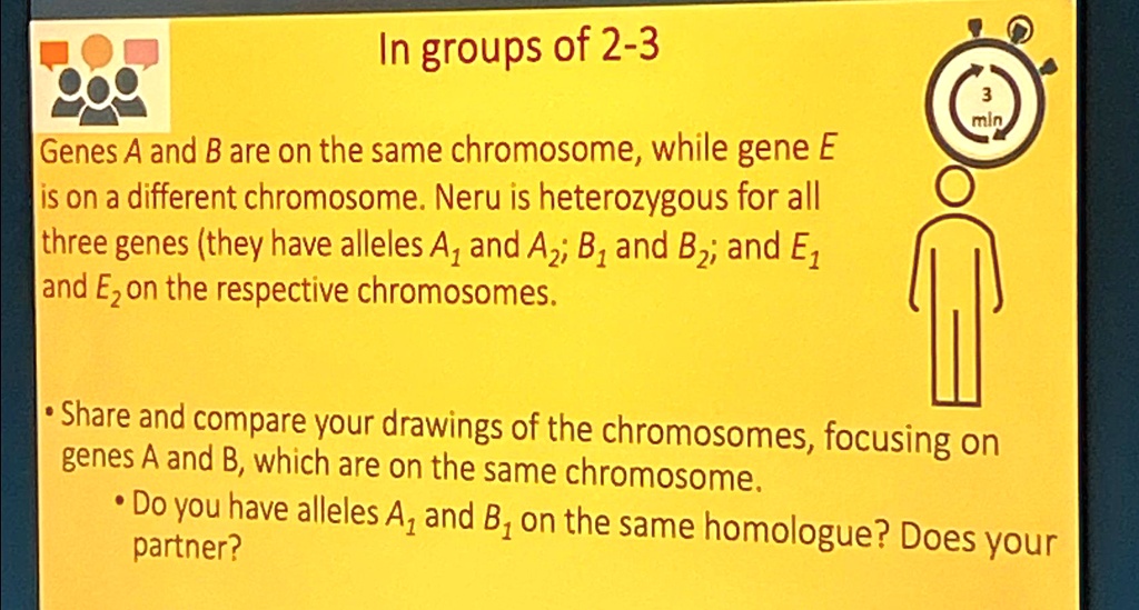 in groups of 2 3 genes a and b are on the same chromosome while gene e ...
