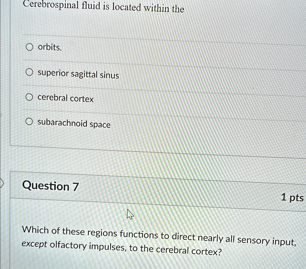 Cerebrospinal fluid is located within the O orbits. O superior sagittal ...