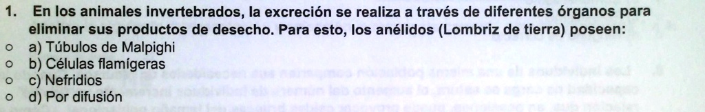 SOLVED: En los animales invertebrados, la excreción se realiza a través ...