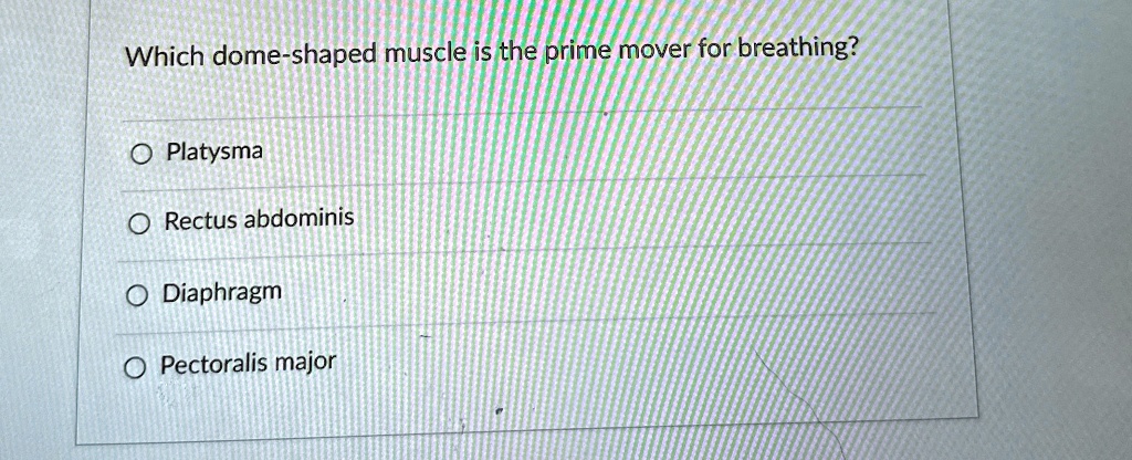 Which dome-shaped muscle is the prime mover for breathing? ? Platysma ...