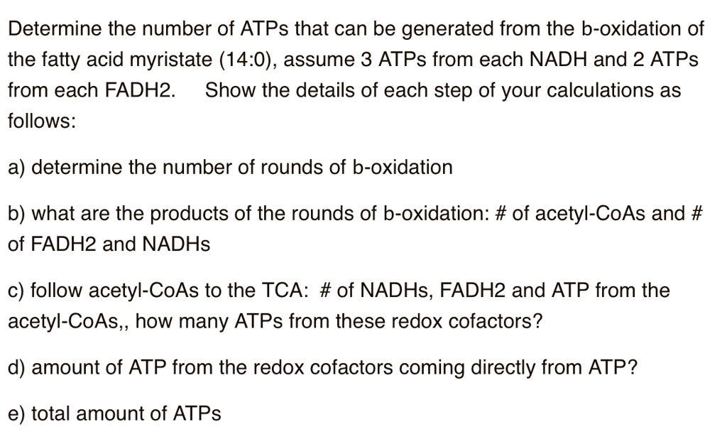determine the number of atps that can be generated from the b oxidation ...
