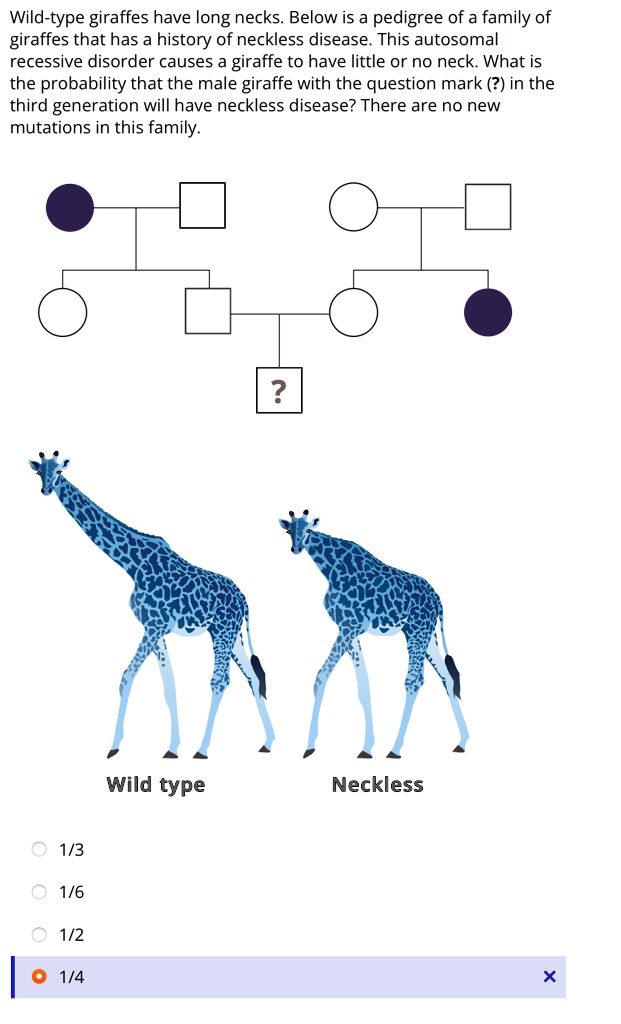 SOLVED: Wild-type giraffes have long necks. Below is a pedigree of a ...