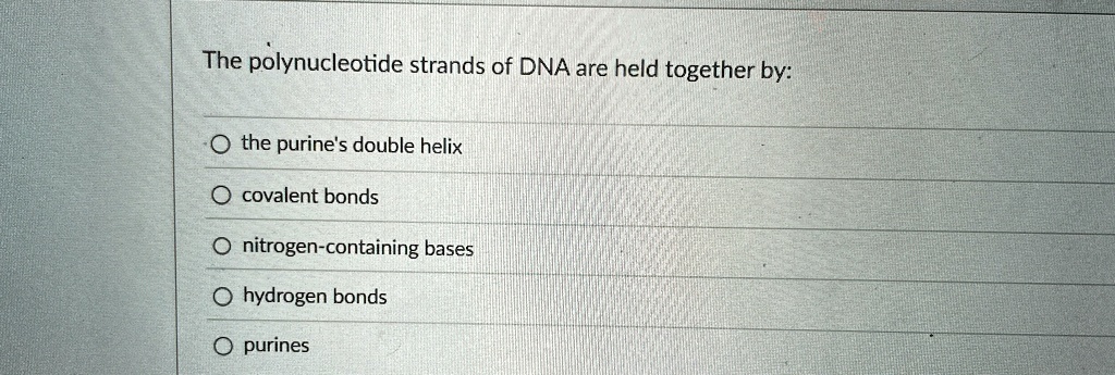 The polynucleotide strands of DNA are held together by: the purine's ...