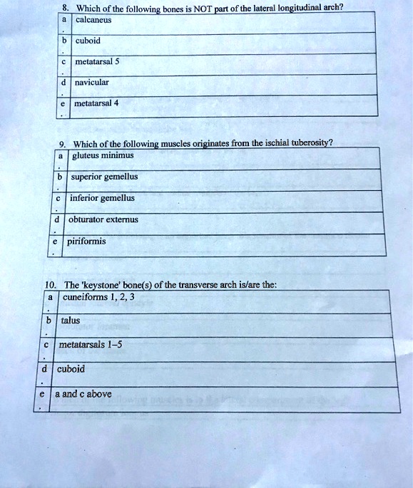 8. Which of the following bones is NOT part of the lateral longitudinal ...
