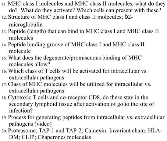 mhc class molecules and mhc class ii molecules what do they do what do ...