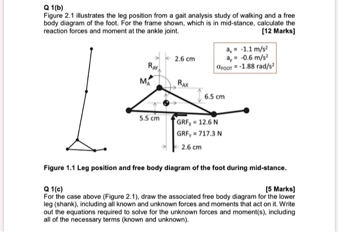 Q 1(b) Figure 2.1 illustrates the leg position from a gait analysis ...