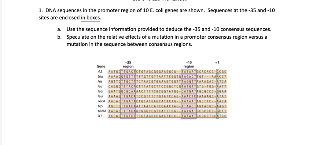 SOLVED: DNA sequences in the promoter region of 10 E. coli genes are shown. Sequences at the -35 ...