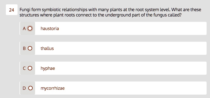24 fungi form symbiotic relationships with many plants at the root ...