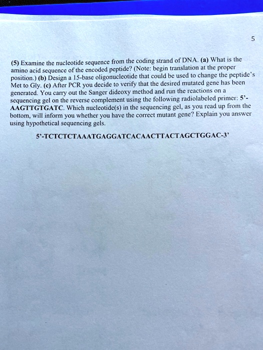 SOLVED: The nucleotide sequence from the coding strand of DNA is as follows: (a) What is the ...