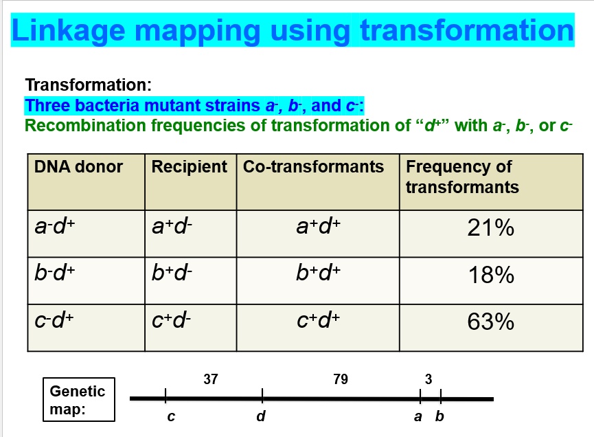 can someone explain to me how did we determine the numbers on the map ...