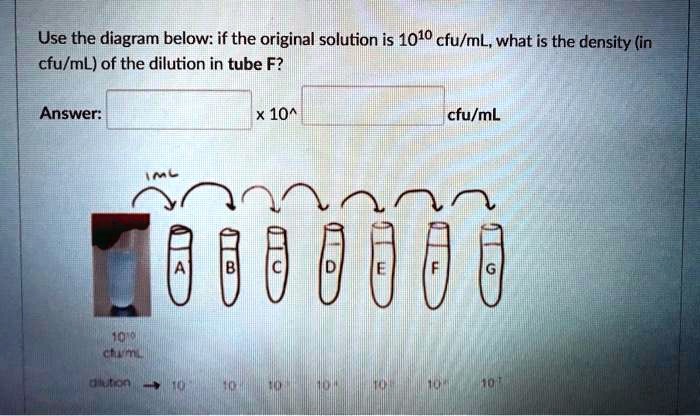 SOLVED: Use the diagram below: if the original solution is 1010 cfu/mL ...