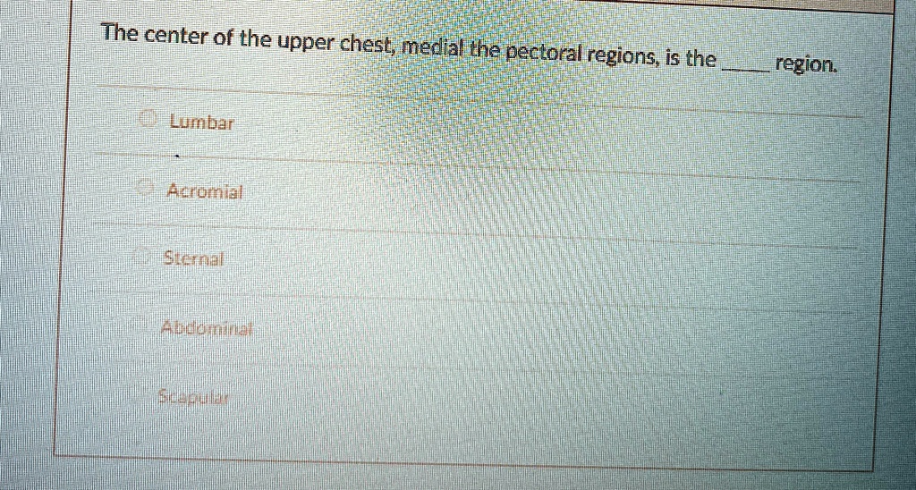 The center of the upper chest, medial the pectoral regions, is the ...