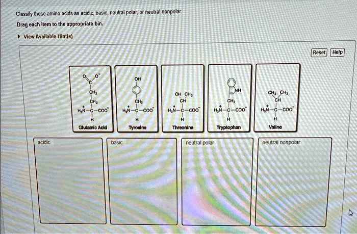 Classify these amino acids as acidic, basic, neutral polar, or neutral ... Classify these amino acids as acidic, basic, neutral polar, or neutral ...