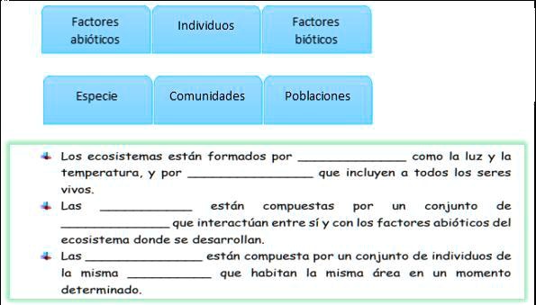 SOLVED: Completa los siguientes enunciados utilizando las palabras del ... SOLVED: Completa los siguientes enunciados utilizando las palabras del ...