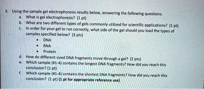 using the sample gel electrophoresis results below answering the ...