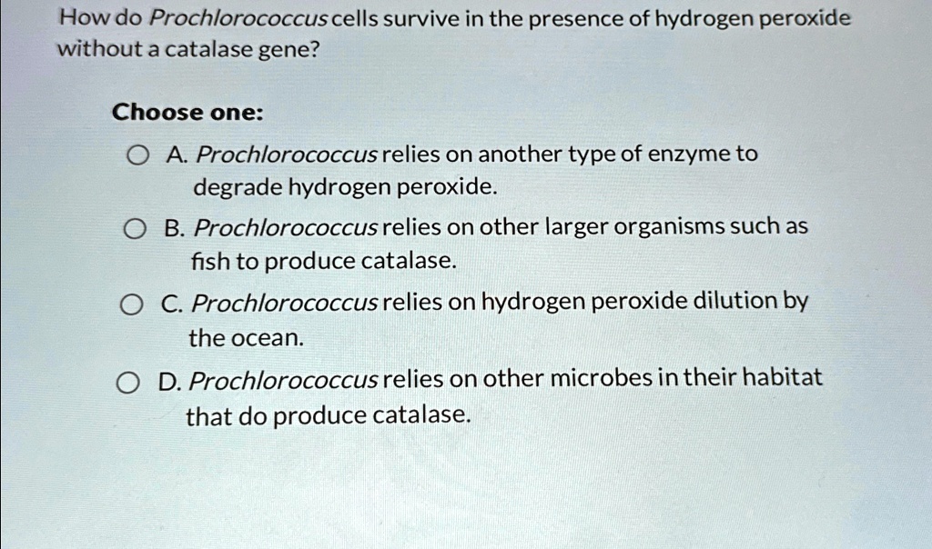 How do Prochlorococcus cells survive in the presence of hydrogen ...