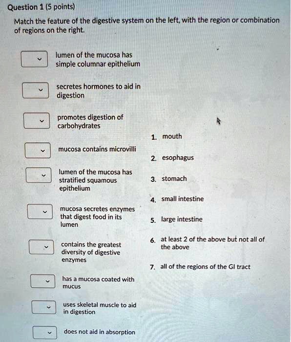 Question 1 (5 points) Match the feature of the digestive system on the left, with the region or ...