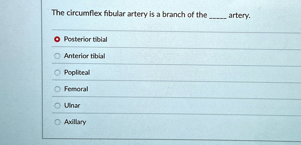 the circumflex fibular artery is a branch of the artery posterior ...