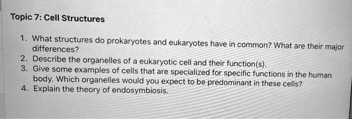 SOLVED: Topic 7: Cell Structures What structures do prokaryotes and ...