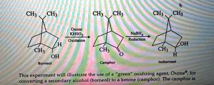 SOLVED: What is the mechanism and balanced equation for the oxidation ...