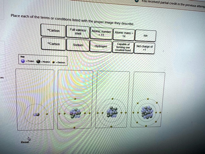 Place each of the terms or conditions listed with the proper image they ...