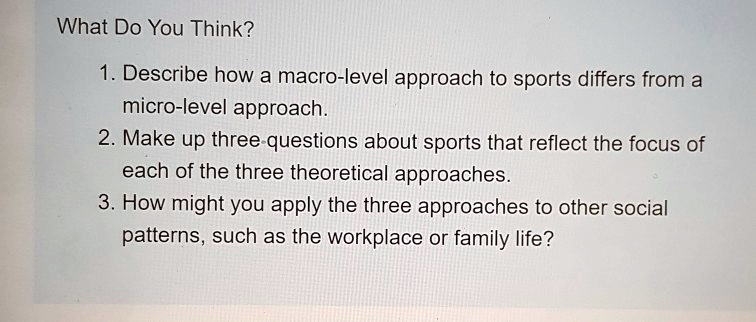 what do you think 1 describe how a macro level approach to sports ...