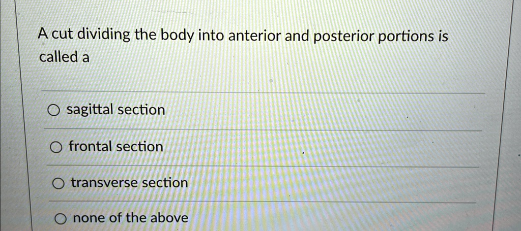a cut dividing the body into anterior and posterior portions is called ...