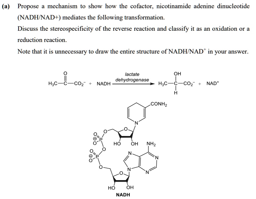 a propose a mechanism to show how the cofactor nicotinamide adenine ...