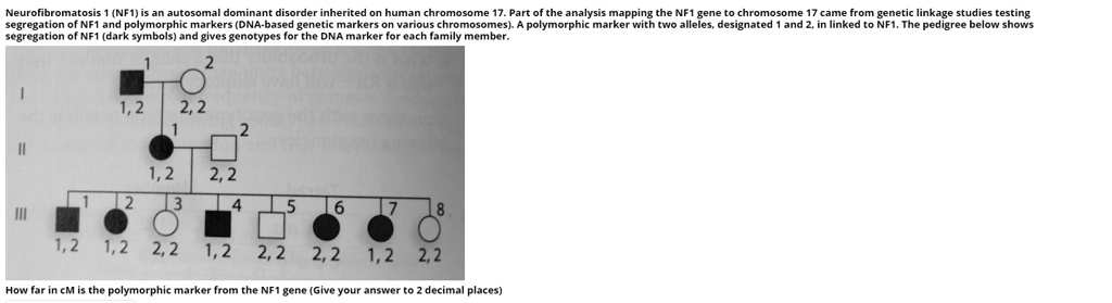 SOLVED: Neuronbromarosis (NFI)is an autosomal dominant disorder ...