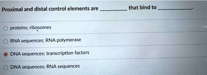 SOLVED: Proximal and distal control elements are that bind to proteins ...
