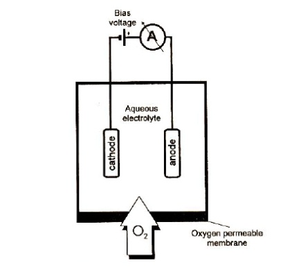 SOLVED: A Clark-type of Ag/AgCl electrode (anode) is used to measure ...