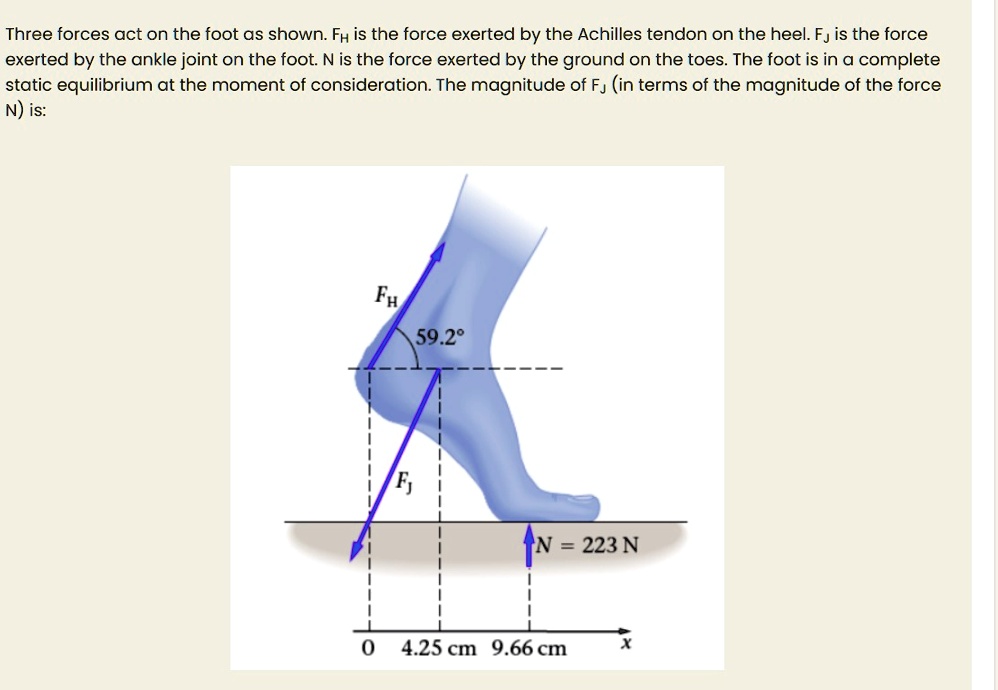 SOLVED: Three forces act on the foot as shown Fi is the force exerted ...