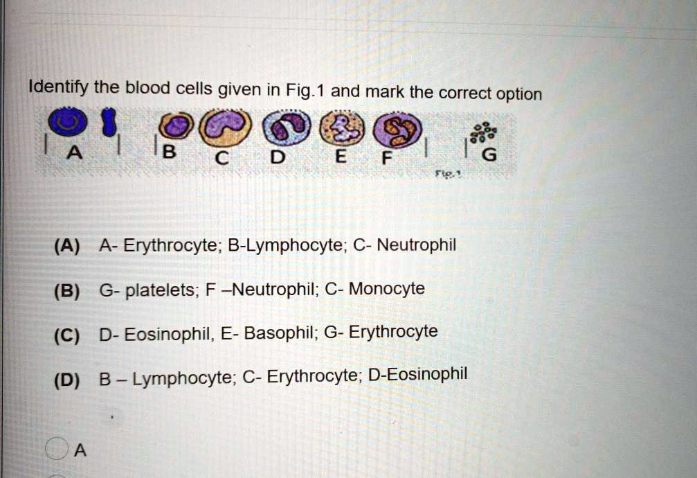 identify the blood cells given in fig1 and mark the correct option 6 5r ...