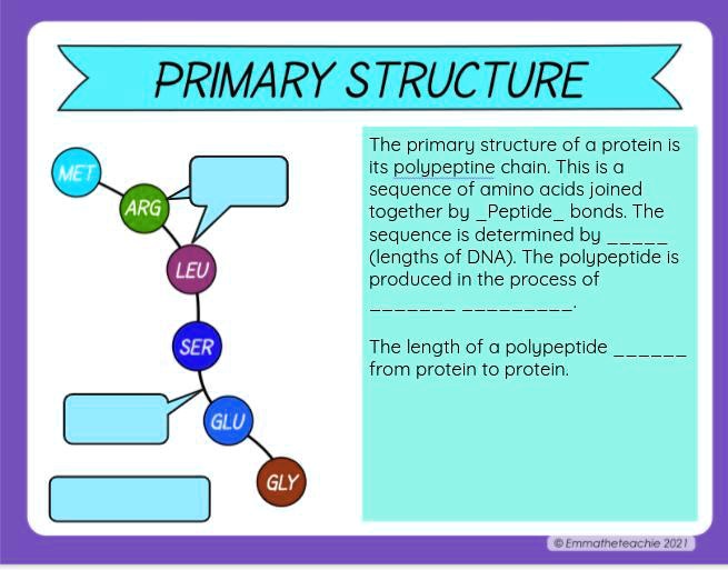 SOLVED: "Please help, it's about lipids and protiens. Thanks alot ...