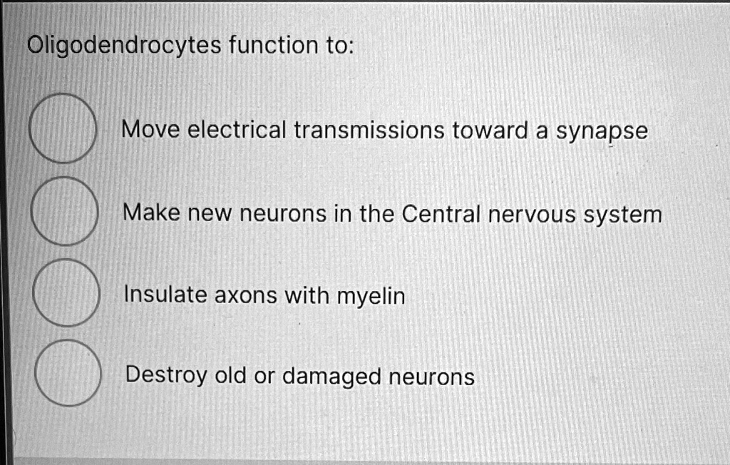 oligodendrocytes function to move electrical transmissions toward a ...