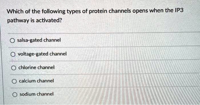 SOLVED: Which of the following types of protein channels opens when the ...