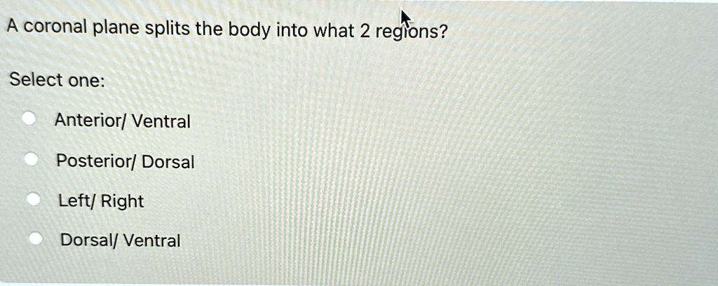 a coronal plane splits the body into what 2 regions select one anterior ...