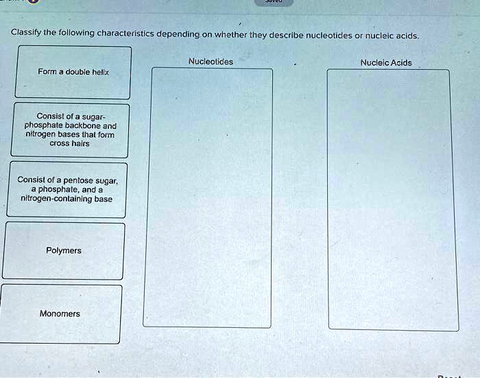 classify the following characteristics depending on whether they describe nucleotides or nucleic ...