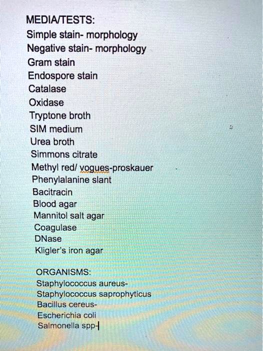 MEDIA/TESTS: Simple stain- morphology Negative stain- morphology Gram ...