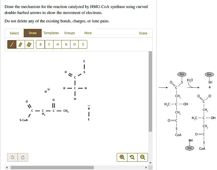 Draw the mechanism for the reaction catalyzed by HMG-CoA synthase using ...