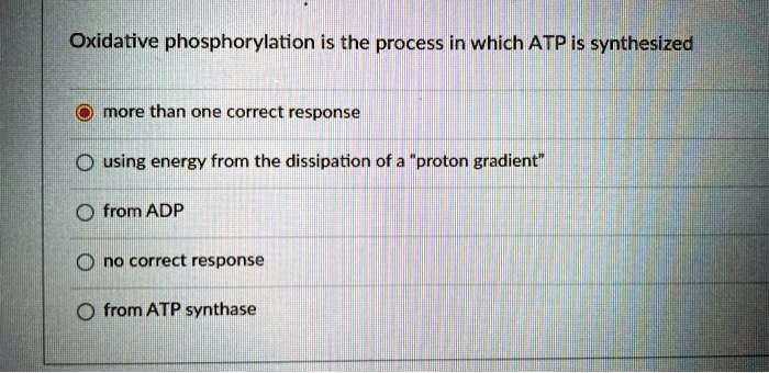 SOLVED: Oxidative phosphorylation is the process in which ATP is synthesized using energy from ...
