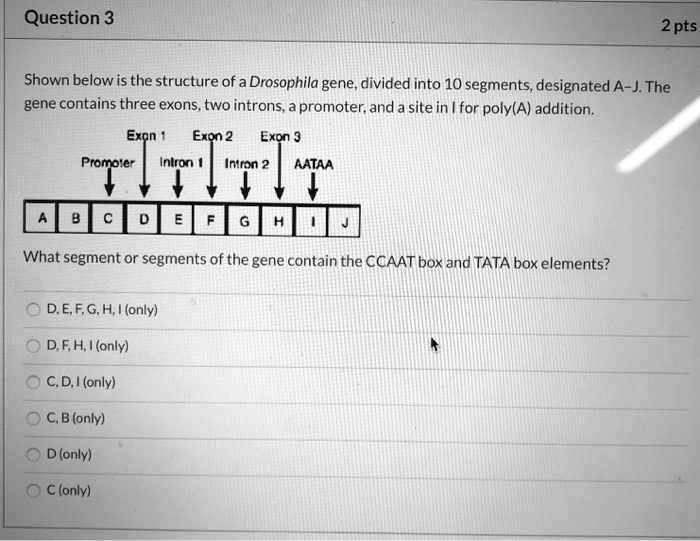 question 3 2 pts shown below is the structure of a drosophila ...