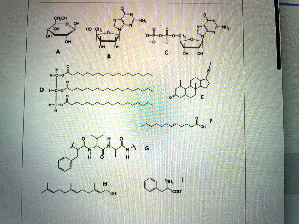 CH?OH OH OH HO-CH? OH OH HO A H-C-O DH-C-O H-C-O H -NH? -CH OH C OH OH B 0 G H OH *NH 1 CO E OH H