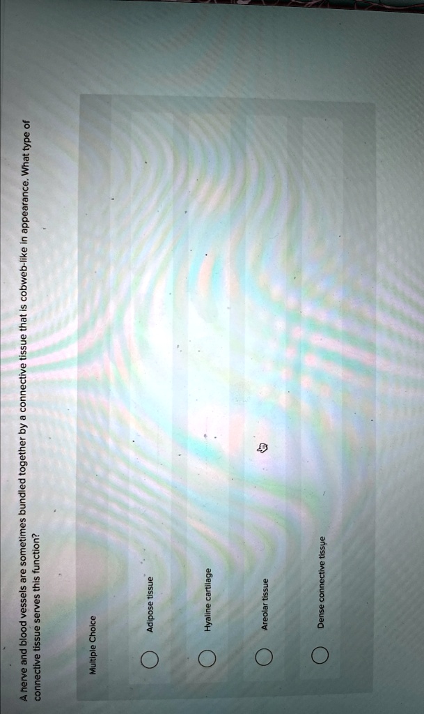 a herve and blood vessels are sometimes bundled together by a ...