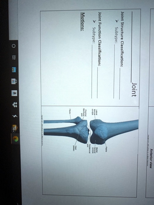 SOLVED: joint structure classification Motions: >Subtype Joint Function Classification Subtype ...