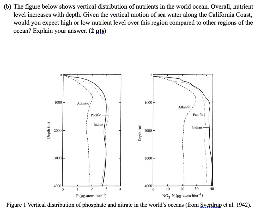 b the figure below shows vertical distribution of nutrients in the ...
