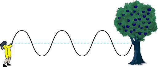 mackenzie creates a transverse wave using a rope tied to a tree as ...