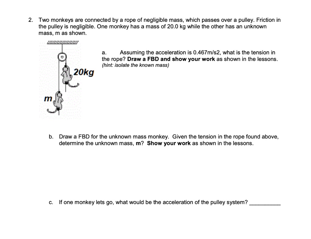 SOLVED: Two monkeys are connected by a rope of negligible mass, which ...